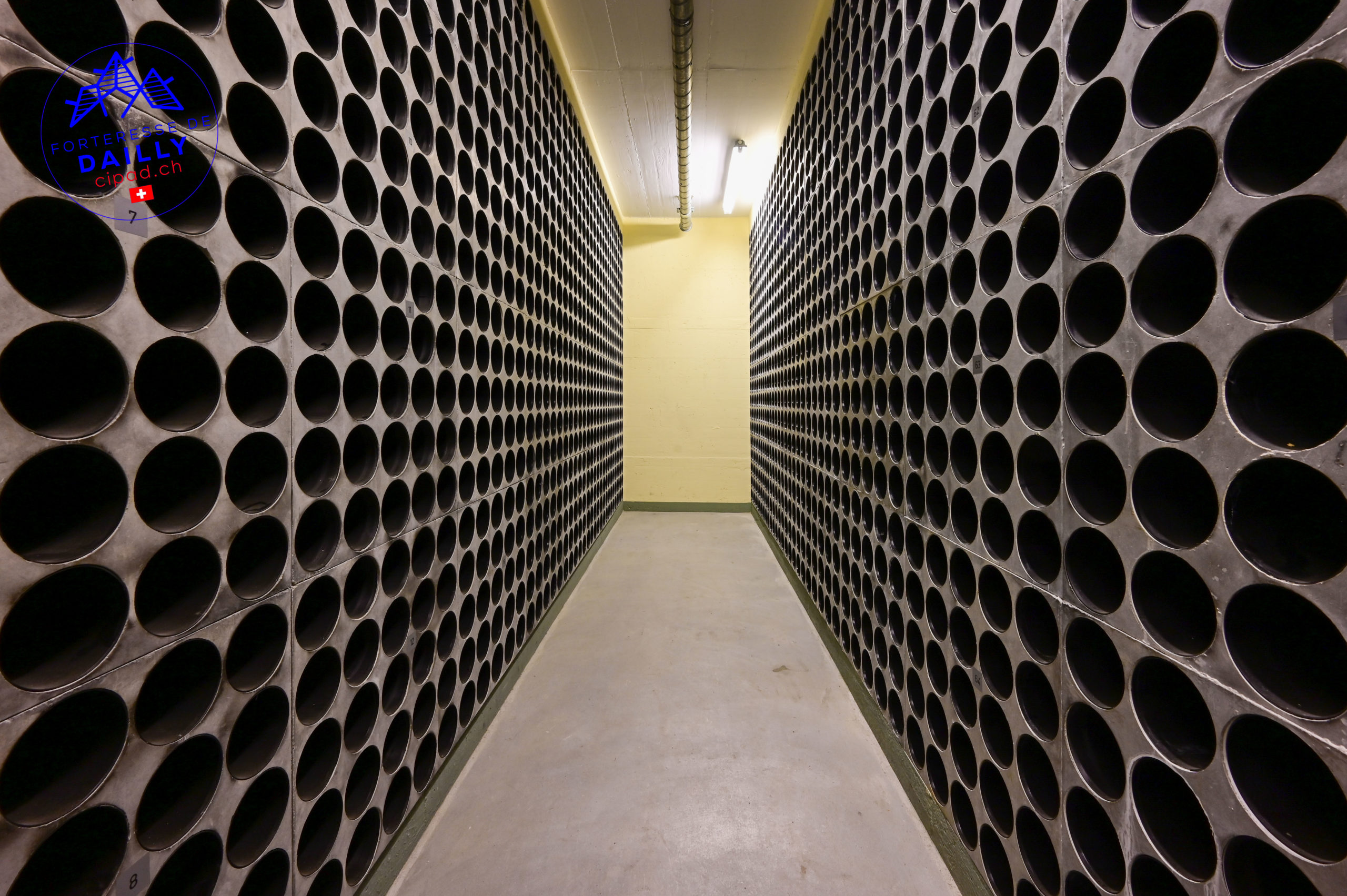 Notre Actualité - CIPAD